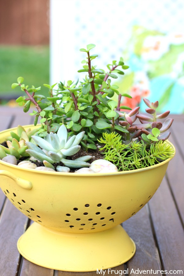 26 Creative And Inspiring DIY Garden Pot Ideas To Beautify Your Outdoor ...