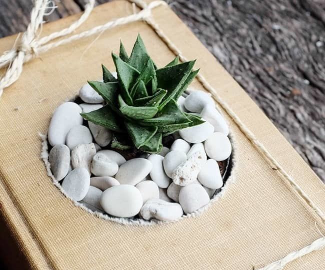 26 Creative And Inspiring DIY Garden Pot Ideas To Beautify Your Outdoor ...