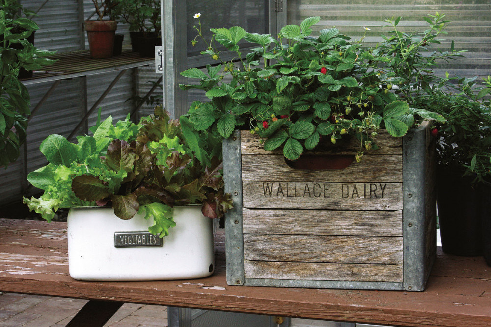 26 Creative And Inspiring DIY Garden Pot Ideas To Beautify Your Outdoor ...