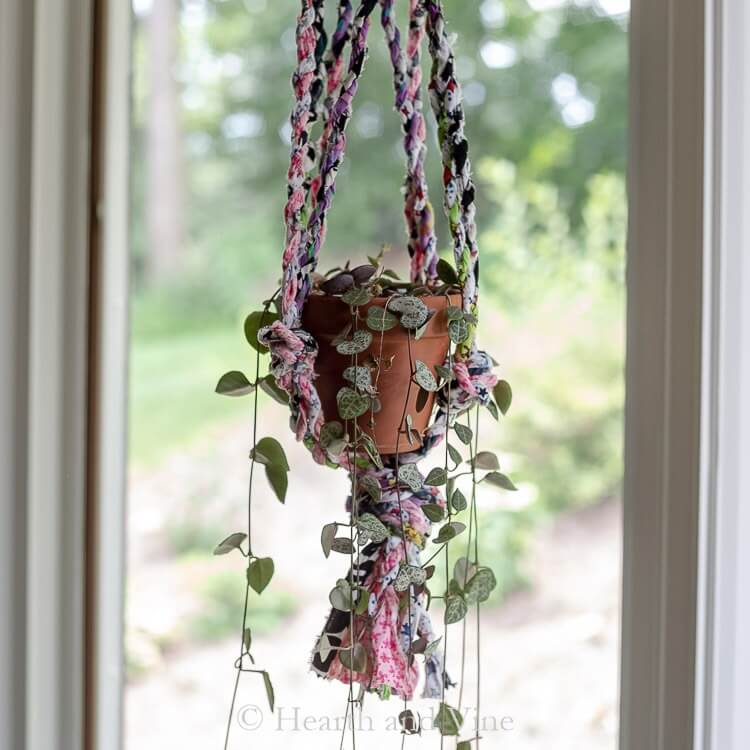 25 Houseplants That Look Great When Grown in Macramé Plant Hangers ...