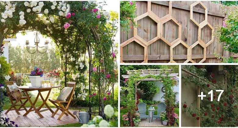 21 Beautiful Garden Trellis Ideas To Spruce Up Your Outdoor Space ...
