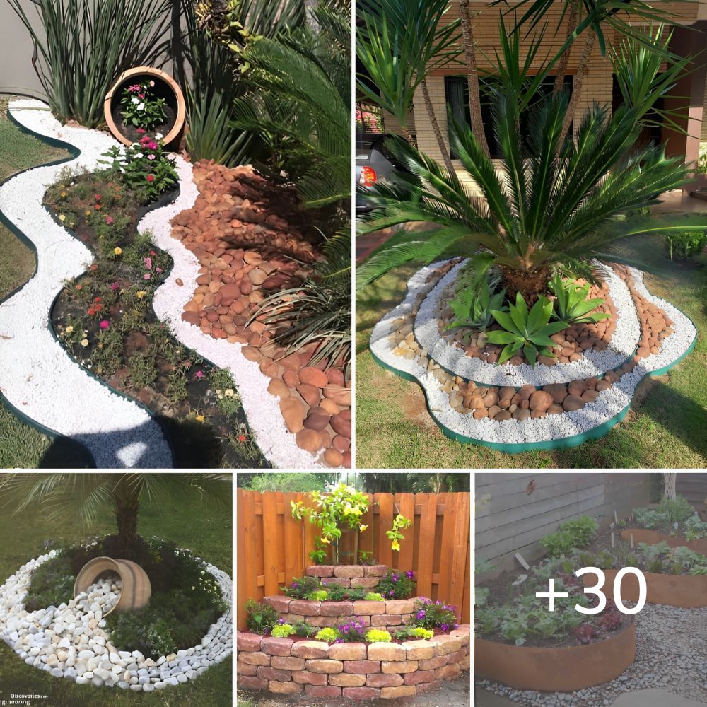 30 Simple And Cheap Garden Edging Ideas For Your Garden - ZuneTalk Green