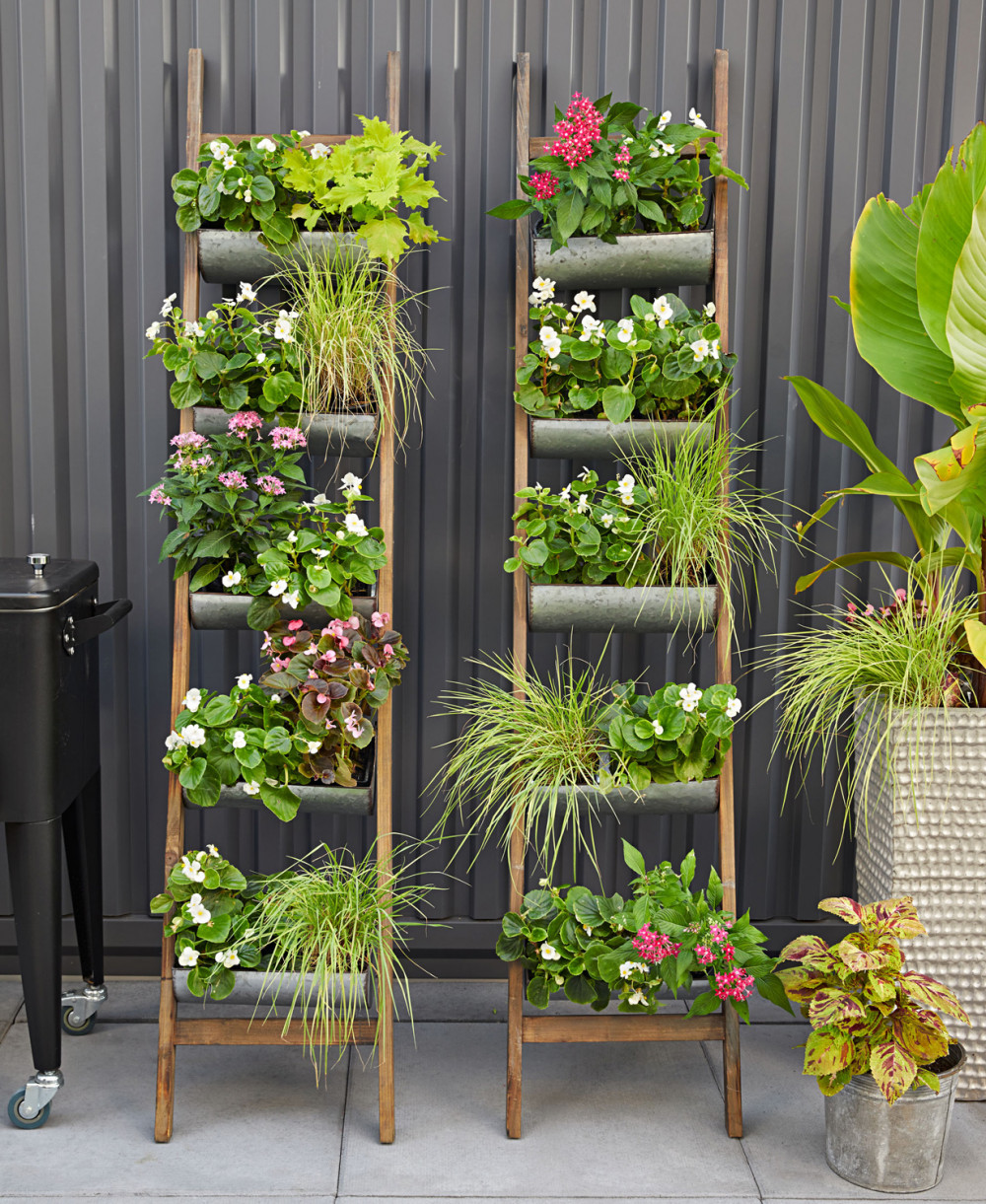 25 Inspiring Pot Ideas For Green Spaces - ZuneTalk Green