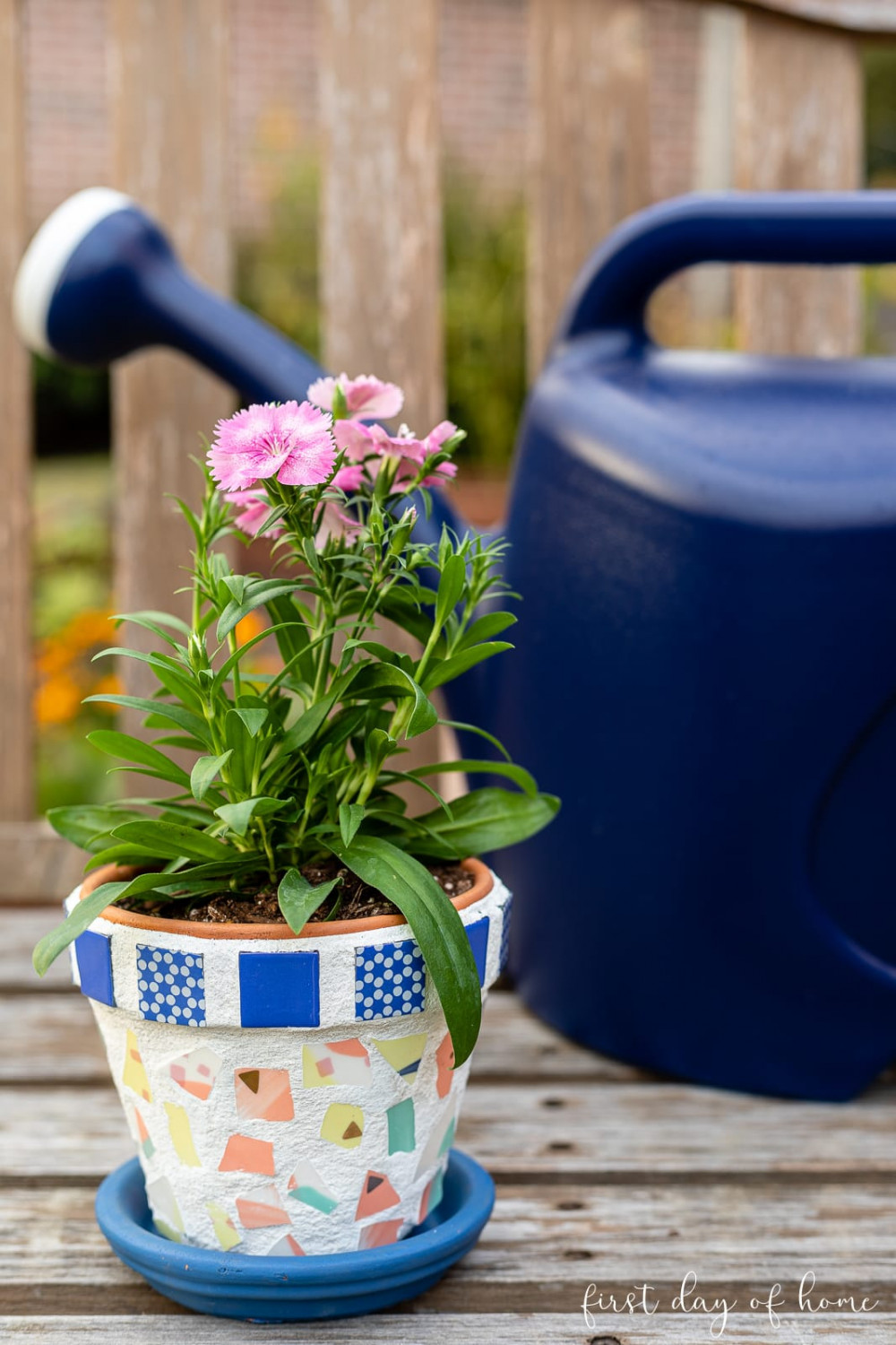 25 Inspiring Pot Ideas For Green Spaces - ZuneTalk Green