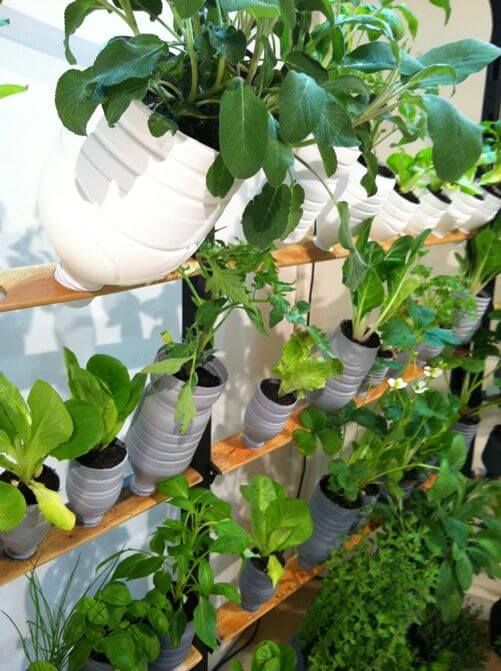 49 Easy and Fun DIY Plastic Bottle Planters - ZuneTalk Green