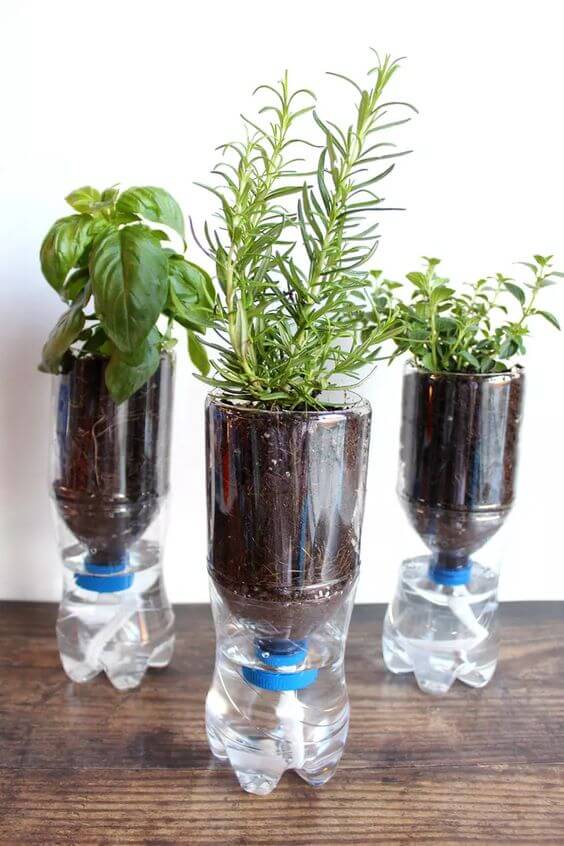 49 Easy And Fun Diy Plastic Bottle Planters Zunetalk Green