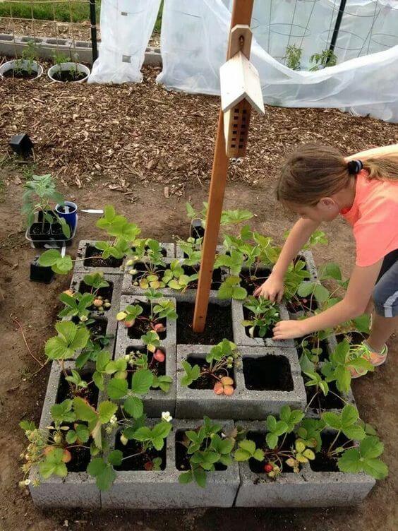 27 Brilliant Ways to Use Cinder Blocks in Your Yard - ZuneTalk Green