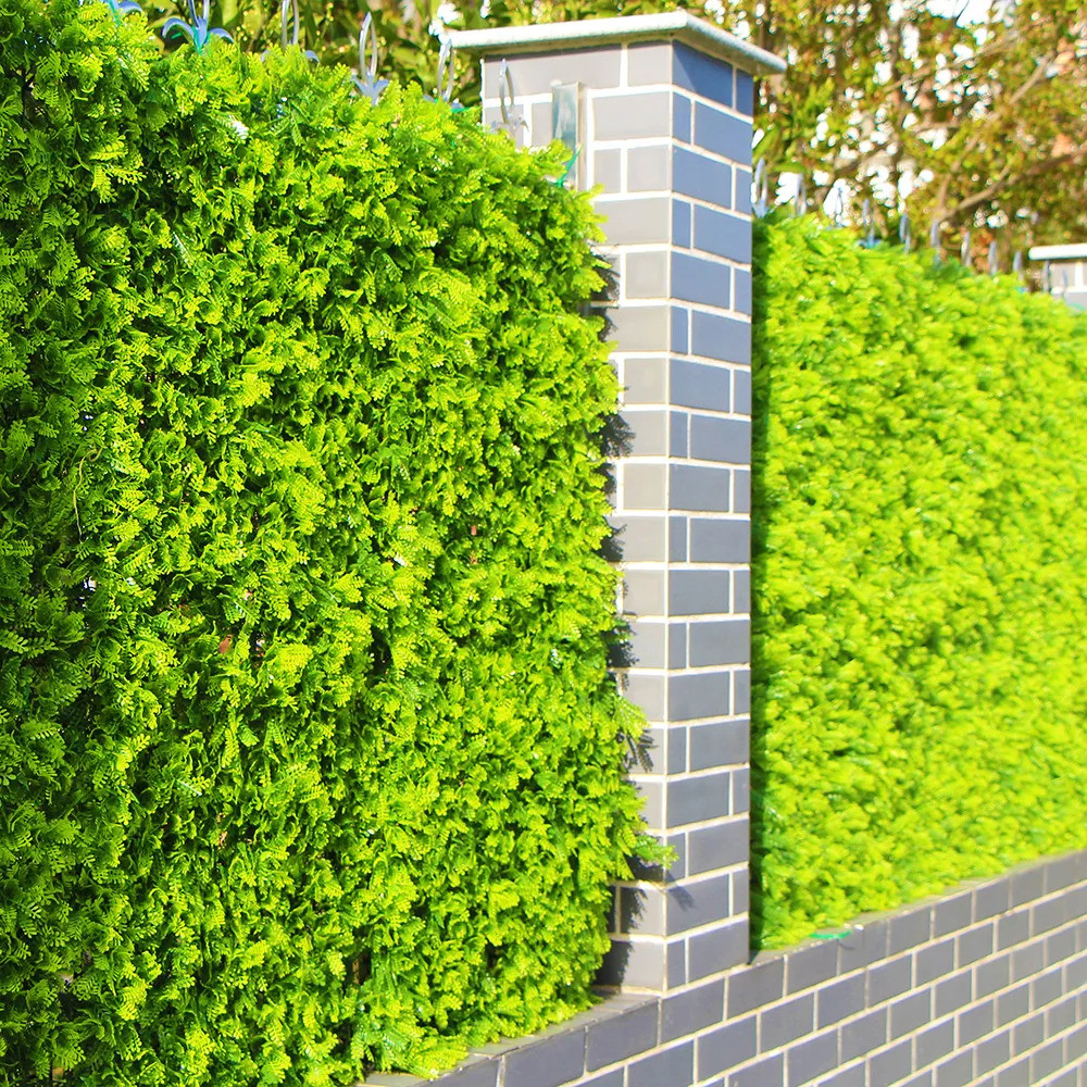 12 Best Shrubs To Create Private Fences - ZuneTalk Green