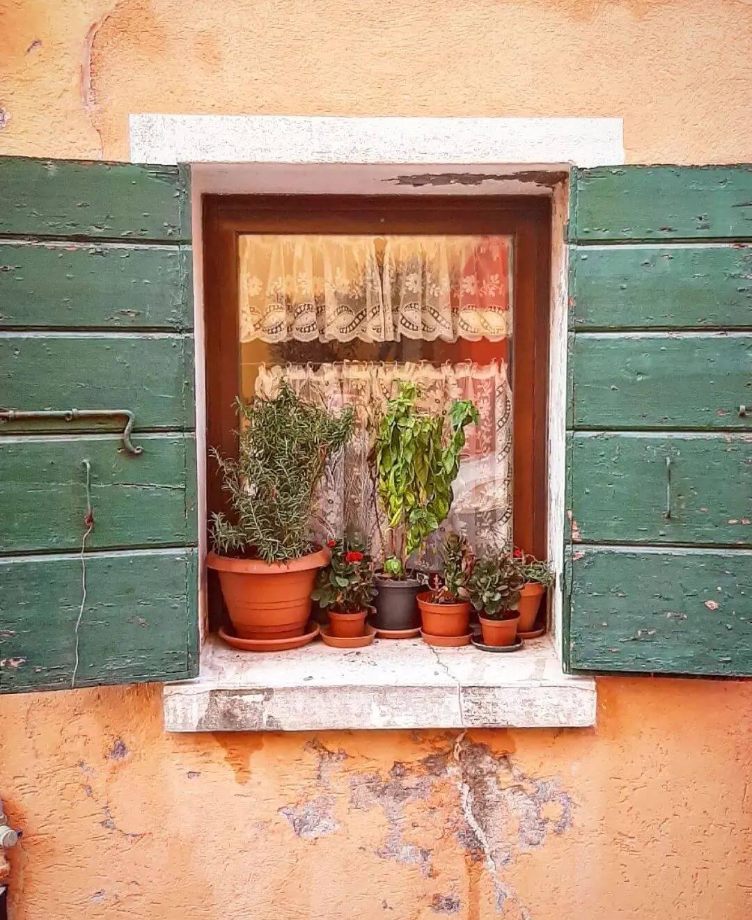 35 Best Window Garden And Landscape Ideas - ZuneTalk Green