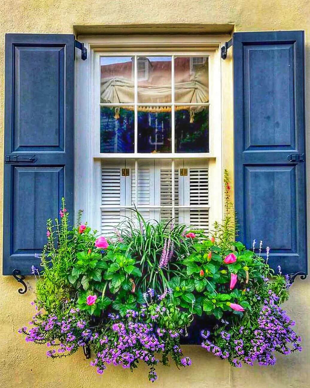 35 Best Window Garden And Landscape Ideas - ZuneTalk Green