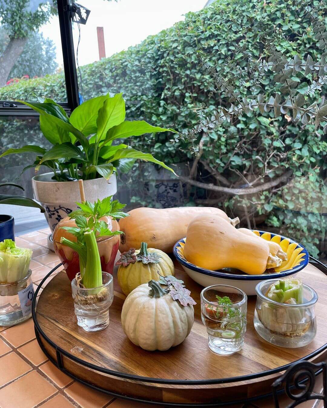 35 Best Window Garden And Landscape Ideas - ZuneTalk Green