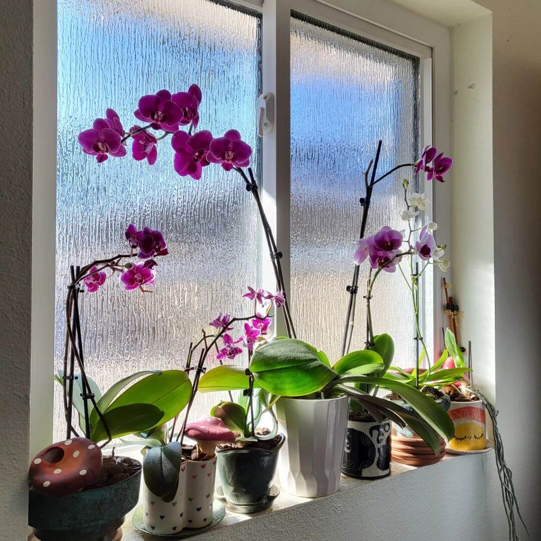 35 Best Window Garden And Landscape Ideas - ZuneTalk Green