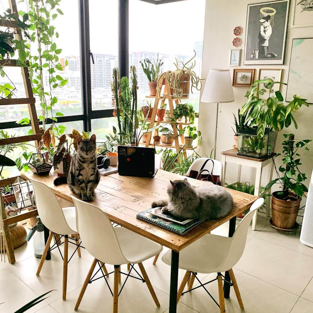 35 Best Window Garden And Landscape Ideas - ZuneTalk Green
