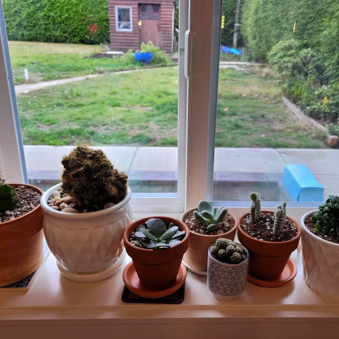 35 Best Window Garden And Landscape Ideas - ZuneTalk Green