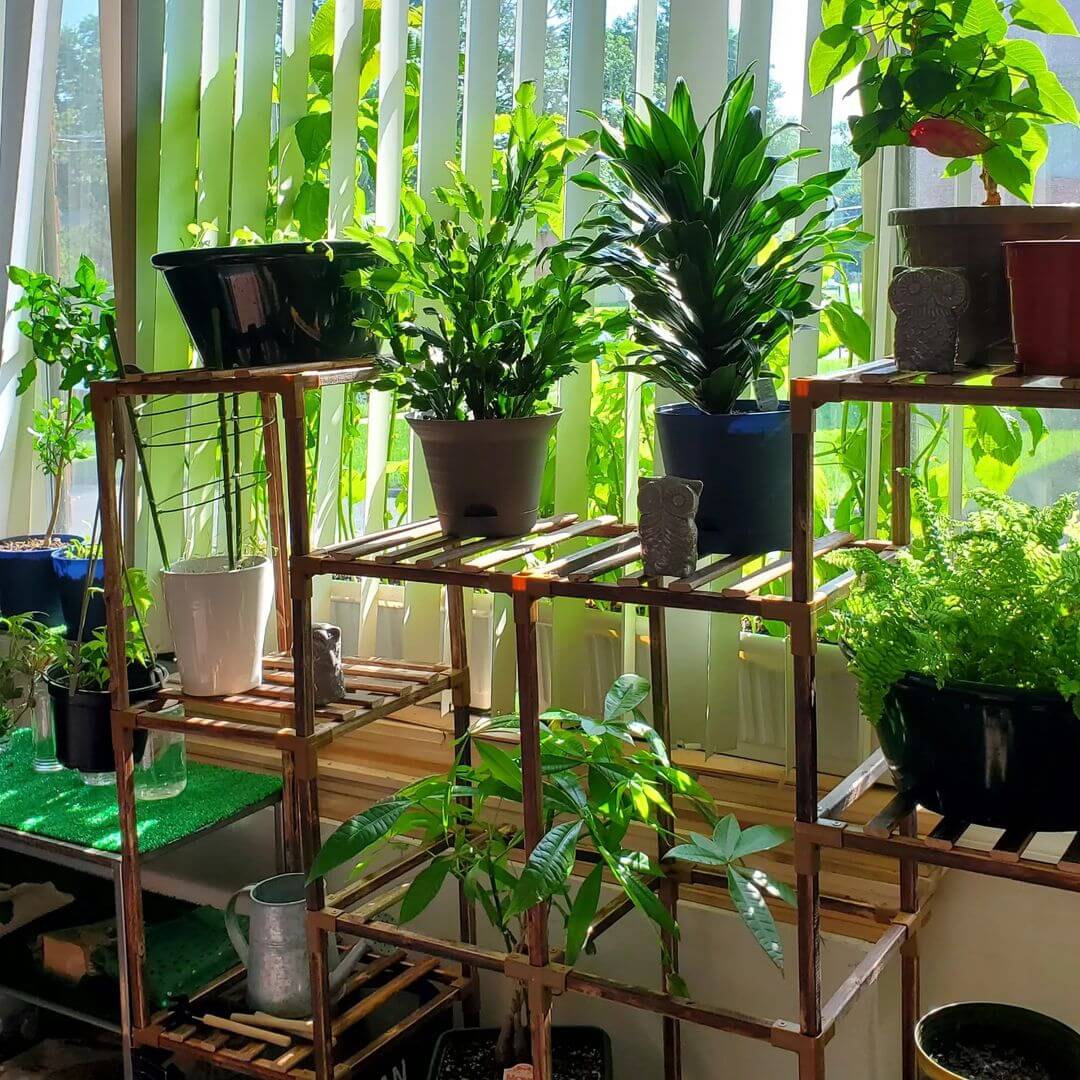 35 Best Window Garden And Landscape Ideas - ZuneTalk Green