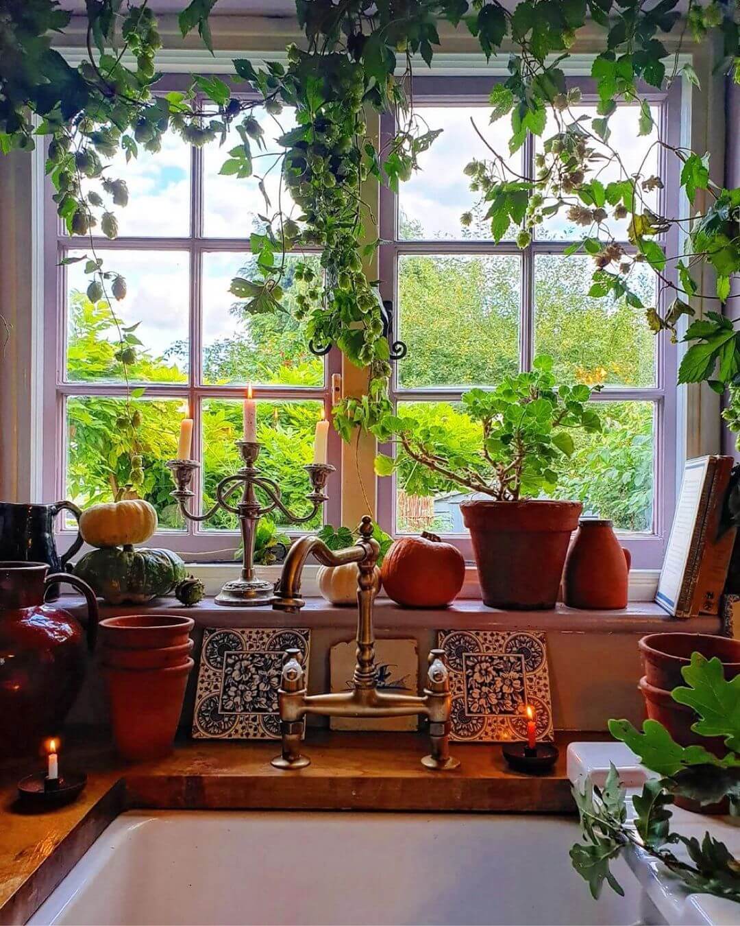 35 Best Window Garden And Landscape Ideas - ZuneTalk Green
