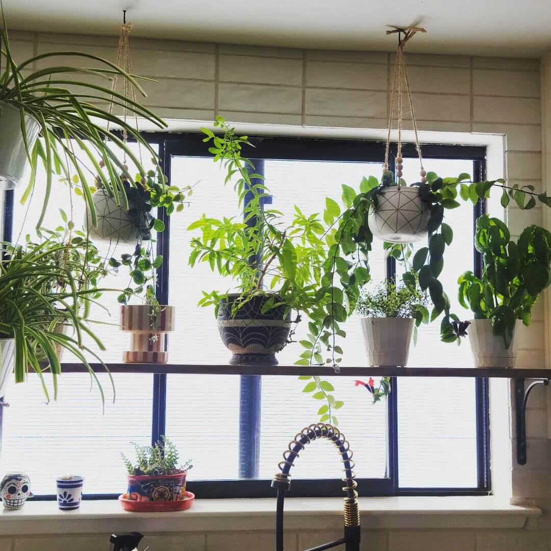 35 Best Window Garden And Landscape Ideas - ZuneTalk Green