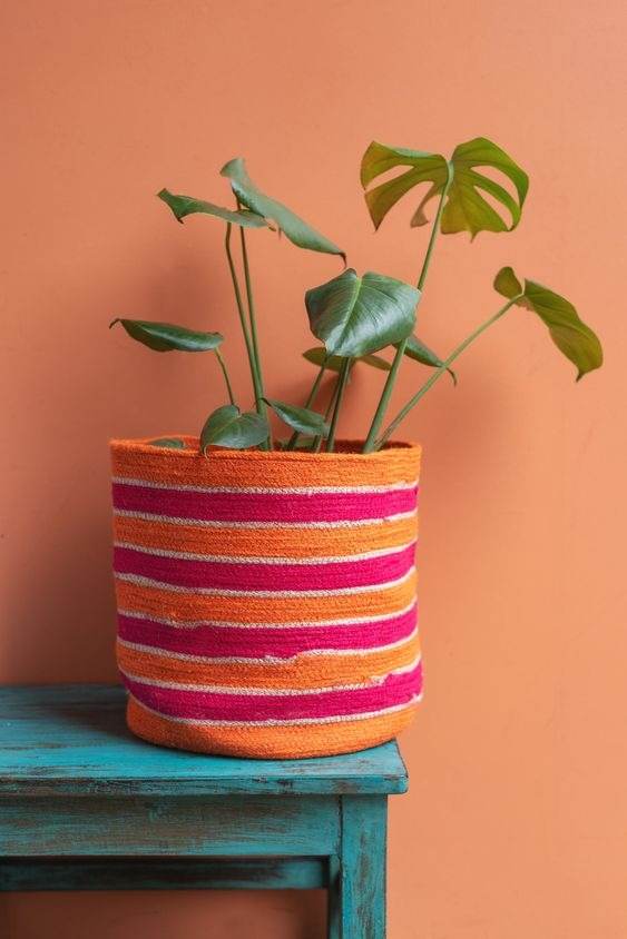 20 DIY Planter Ideas To Spruce Up Your Home On A Budget - ZuneTalk Green