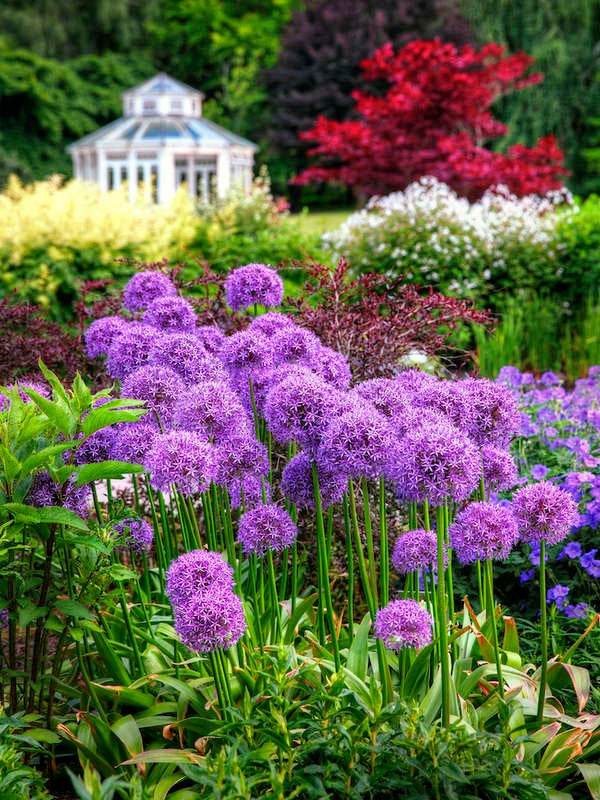 24 Magical Landscaping Ideas With Purple Plants - ZuneTalk Green