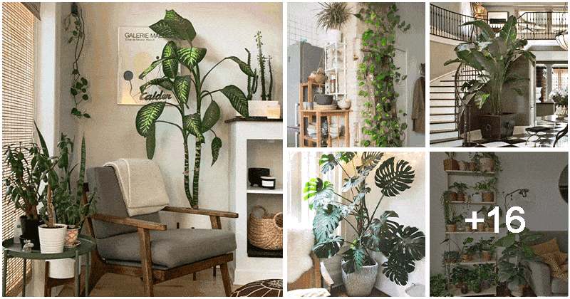 21 Inspiring Indoor Plant Corner Ideas – ZuneTalk Green