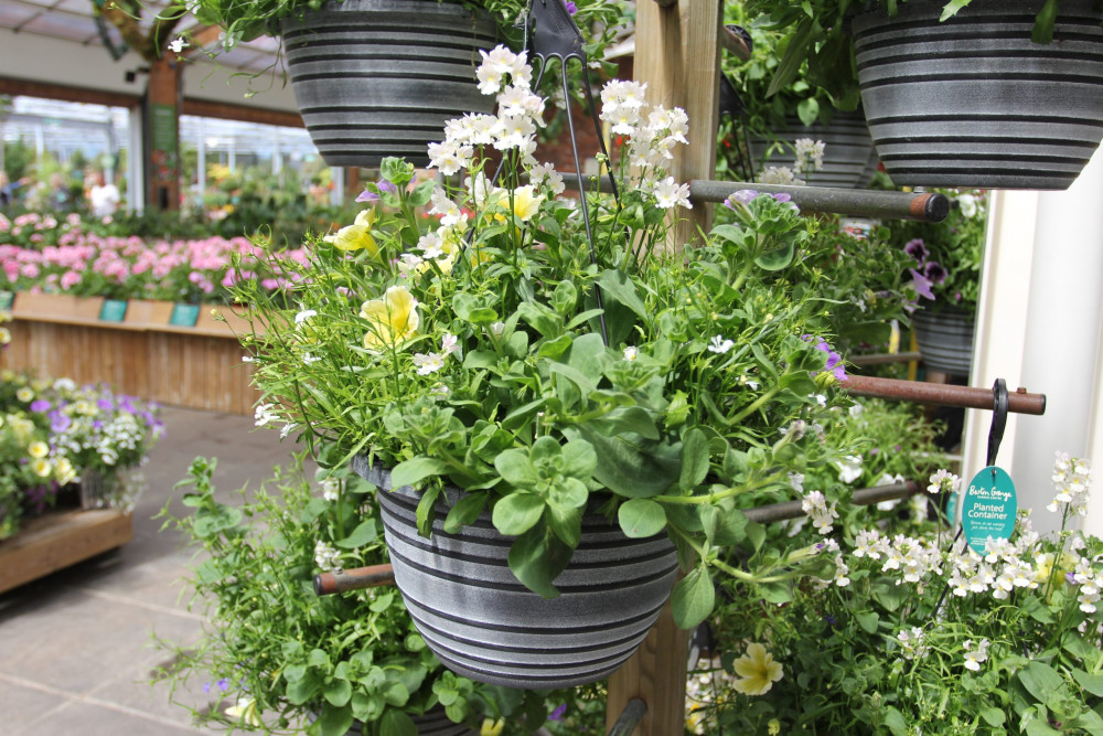 25 Inspiring Pot Ideas For Green Spaces - ZuneTalk Green