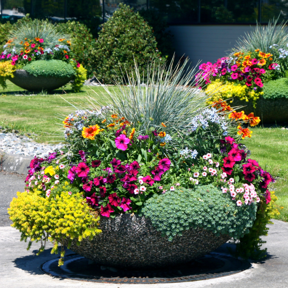 25 Inspiring Pot Ideas For Green Spaces - ZuneTalk Green