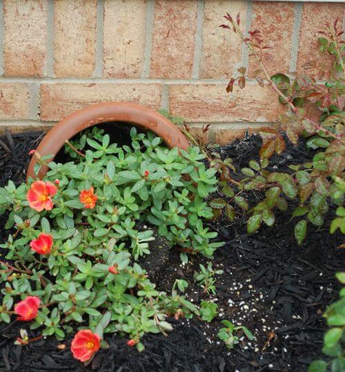 24 Appealing Spilled Flower Pots For Your Yard – ZuneTalk Green